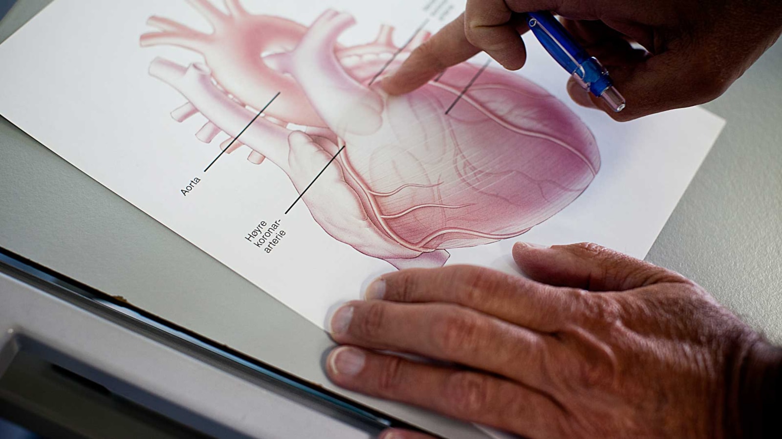 Hjerte- og karsykdommer